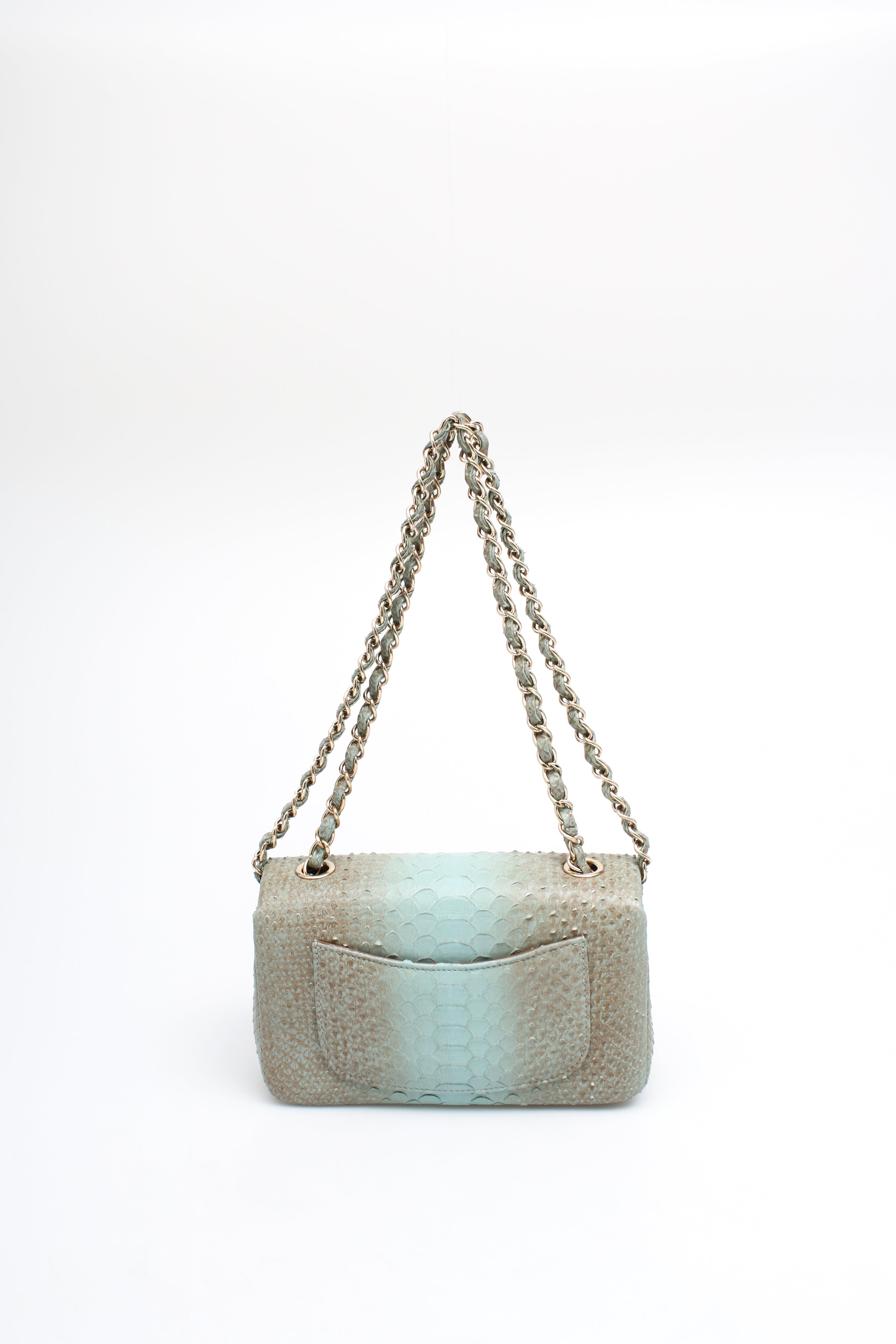 Chanel Snakeskin Flap Bag – Jean Vintage